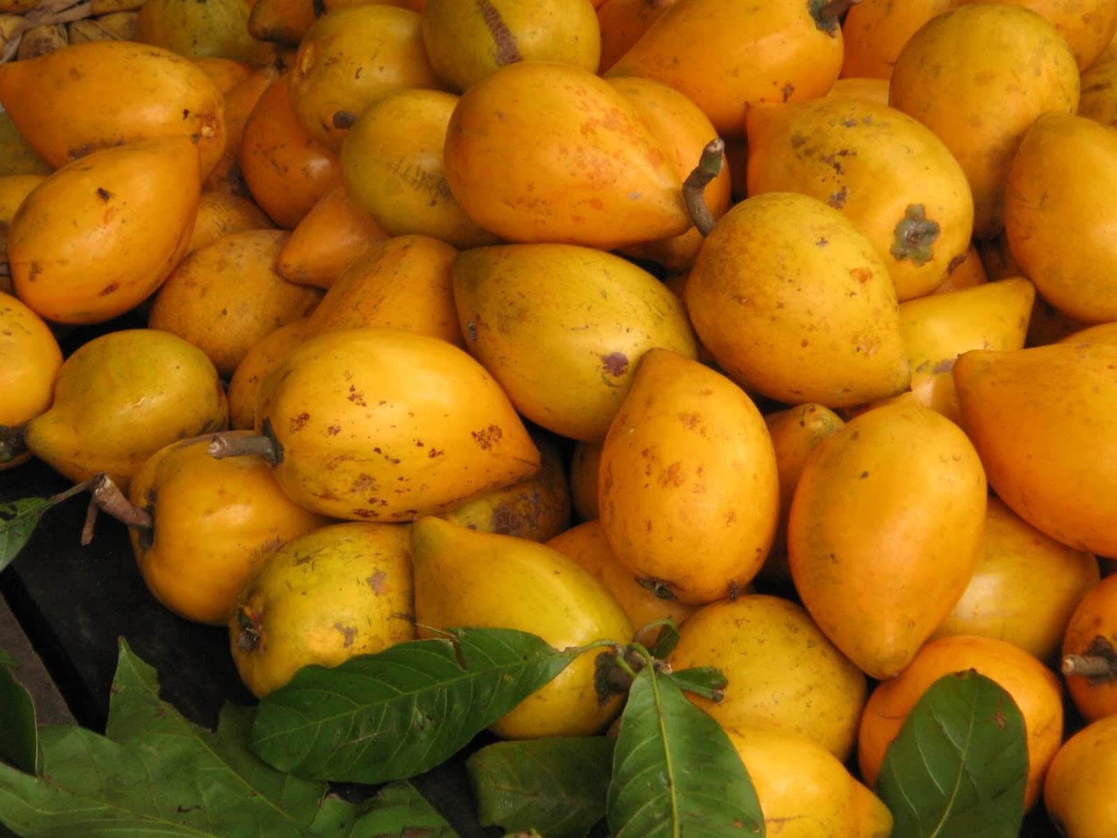 15 Fruits That Start With E - Fosburit.com